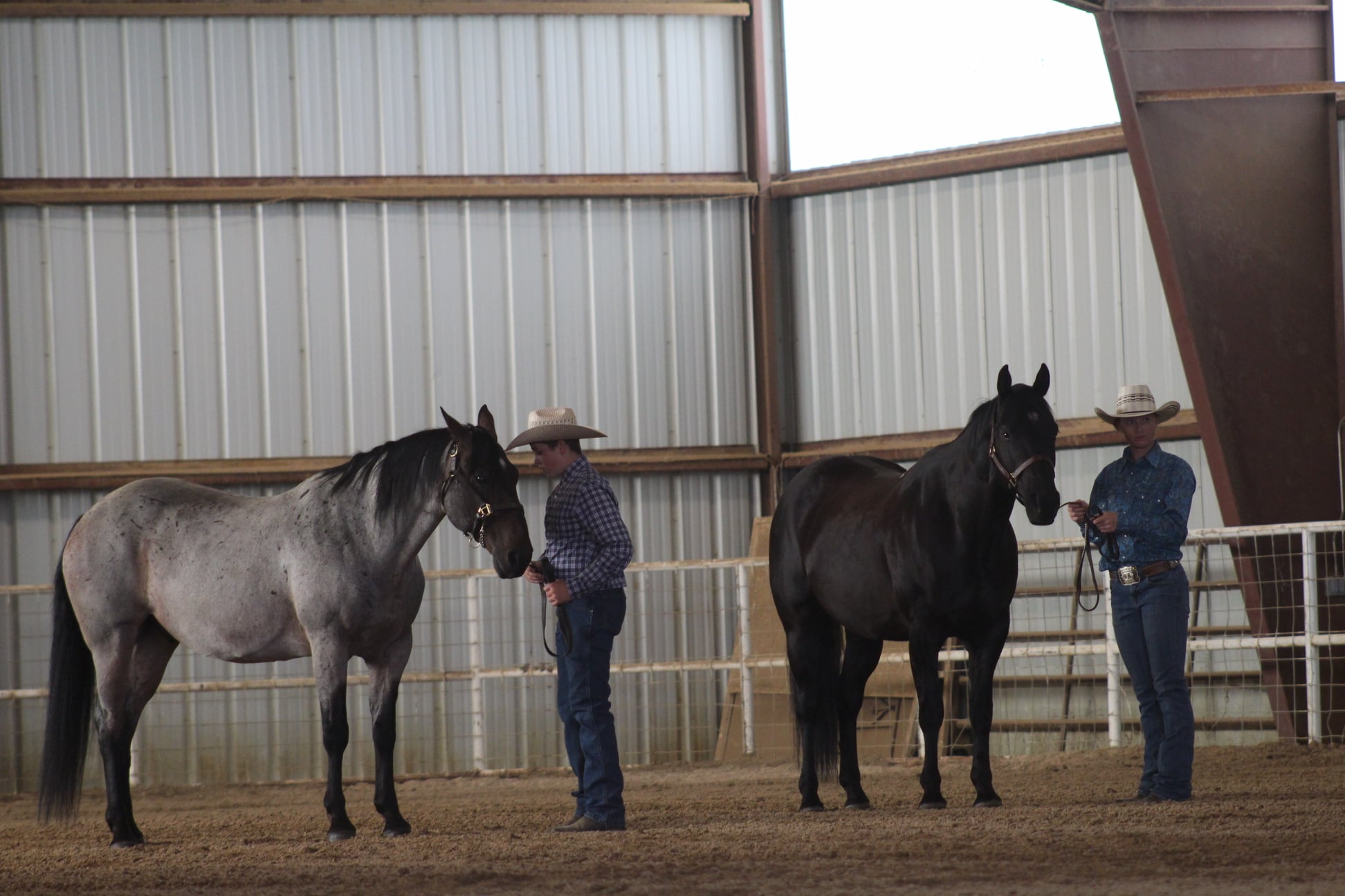 North Park Stockgrowers Association North Park Stockgrowers Ranch Rodeo ...